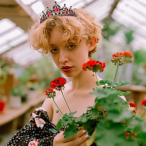 CAVETEE Black Crown for Women Halloween Party Favors Birthday Tiara Luxurious Red Rhinestones Crown Wedding Bridal Crown Birthday Party Princess Party Prom Black Tiaras and Crowns for Women Girls