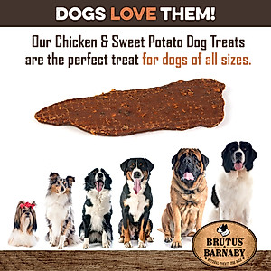BRUTUS & BARNABY Chicken & Sweet Potato Jerky Dog Treats - Grain-Free, Preservative-Free, No Fillers - All Natural USA Chicken & Sweet Potato, High in Antioxidants - Healthy, Tasty Treat for Dogs