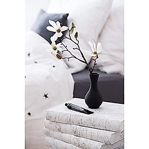 Montana Cans Montana Effect 400 ml Marble Color, Silver Spray Paint, 13.5 Fl Oz (Pack of 1)