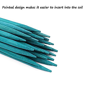 Garden Wood Plant Stakes Green Bamboo Sticks,HAINANSTRY Sturdy Floral Plant Support Stakes Wooden,Wooden Sign Posting Garden Sticks(25 Pack 15 Inches)