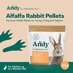 Andy Alfalfa Hay Pellets, Premium Bunny Food for Rabbits, Alfalfa Pellets for Pregnant Bunnies, Young Rabbit Food, Rich in Calcium and Protein,10 lbs Bag