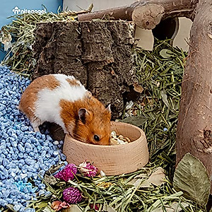 Niteangel Wooden Hamster Feeding Bowl - Small Animal Food Dish for Dwarf Syrian Hamsters Gerbils Mice Degus or Other Similar-Sized Small Pets (Hammy Pattern, for Syrian)
