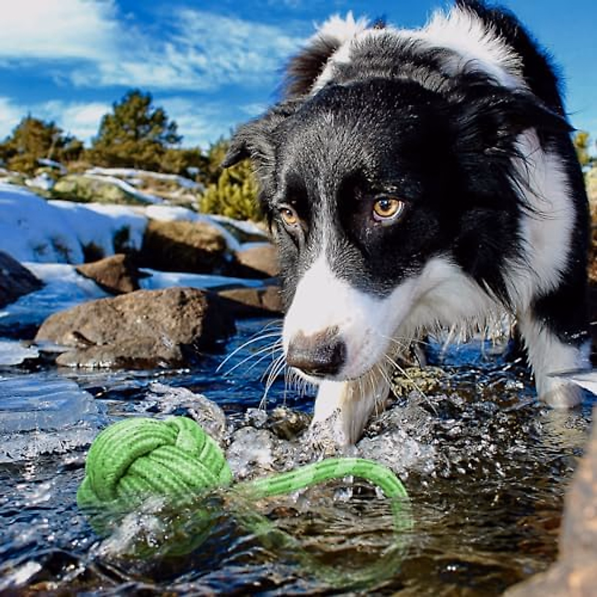 Hydrodogz [3 Pack Floating Tuggies Dog Tug Rope Toy Assortment Bundle for Small Medium and Large Dogs, Natural Cotton Teething Interactive Strong Durable Fetch Chew Toys (Large Ring)