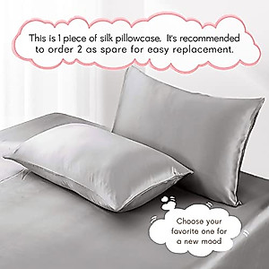 iCooBreeze 100% Pure Silk Toddler Pillowcases,Mulberry Silk Double Sided Pillow Case with Hidden Zipper,Organic Pillow Covers for Baby Kid Toddler Boys Girls, Toddler (13"X18") 1 Pack, Silver Grey