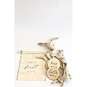 Baby Gift Box - Handcrafted Welcome Baby Gift Set - Choose 5 or 3-Pack Baby Shower Including Milestones, Closet Dividers, & More. +Additional Item: Birth Stat Disc. (Months Set 3-Pack)