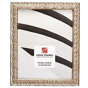Craig Frames Versailles Picture Frame, 16 x 20 Inch, Silver