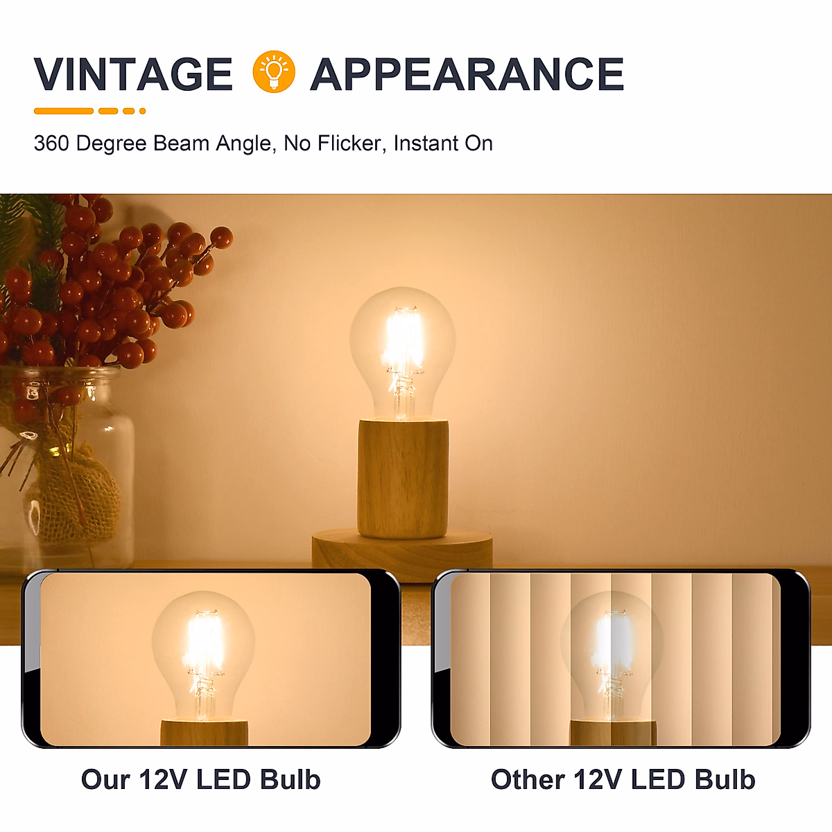 TOKCON 12V Low Voltage LED Light Bulbs - Soft Warm 2700K 4W E26 Edison Base 40W Equivalent - 12 Volt DC/AC A19 Bulb for RV Ceiling - 2 Pack