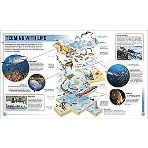 Super Shark Encyclopedia: And Other Creatures of the Deep (DK Super Nature Encyclopedias)