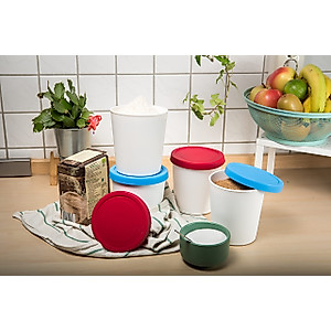 LIN Ice Cream Containers 4-Pack - 1Quart Reusable Round Storage Tubs for Homemade Ice Cream, Dessert, Gelato, Sorbet, 2 Red & 2 Blue Silicone Lids - Non-BPA Plastic Containers - Dishwasher-Safe - No Freezer Burn