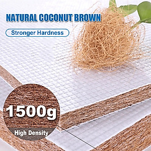 Enchantia Coir Mattress, Folding Mute Palm Mattress, 3e Thick Coconut Coir Mattress, Partition Decompression Spine Friendly, Cool Sleep, for People Who Like Hard Mattresses,Red,100x190cm(39.5 * 75in)
