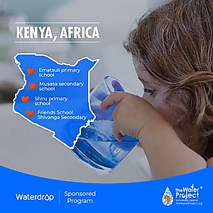 Waterdrop WD-G3-CF Filter, Replacement for WD-G3-W, WD-G3P600 and WD-G3P800-W Reverse Osmosis System, 6-month Lifetime, 2-Pack