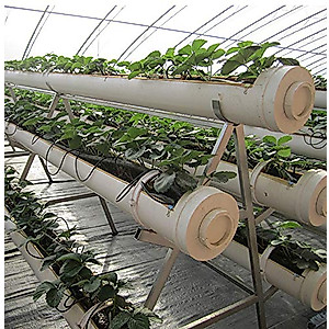 1.5” Rockwool Starter Plugs for Hydroponics, Rockwool Grow Cubes, 1 Sheets of 28 Plugs (Small)