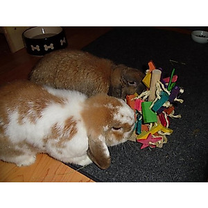 "The Tree" Pet Rabbit Toy