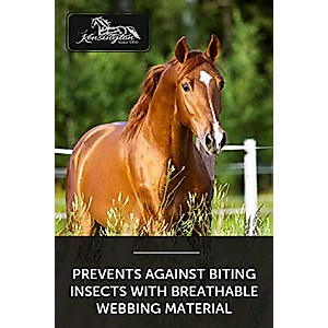 Kensington Horse Fly Mask with Protective Mesh and Plush Fleece Ears- Protection from Bites and Perfect for Wound Recovery, Pony, Lavender Mint