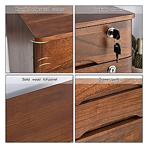 JAEFIT Solid Wood Storage Box - Flat File Cabinet, Wooden Desktop Storage Box with Lockable Drawers, Office Supplies A4/Receipt File Organizer (Size : 2 Layer)