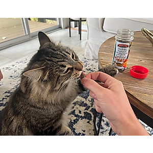 Bench & Field Holistic Natural Healthy Kitty Cat Treats | Crunchy Fish-Shaped Bites | Delicious Seafood Flavored Snack, 3-Ounce (Pack of 2 Bottles)