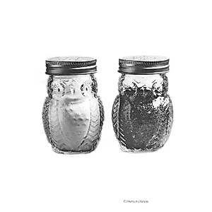 Circleware Elegant Owl Shaped Glass Mason Salt and Pepper Shakers with Metal Lids, Perfect for Himalayan Seasoning Herbs Spices, 2-Piece Set