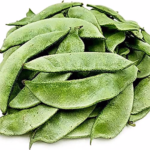 QAUZUY GARDEN 10 White Hyacinth Bean - Lablab Purpureus Seeds | Organic Non-GMO Heirloom Vegetable Seeds & Fresh Garden Seeds | High Yield Edible Ornamental Vining Plant