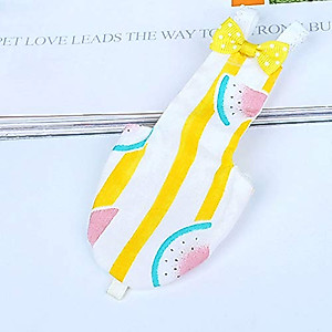 balacoo Pet Clothes Clothing Clothes Bird Diaper Flight Suit Nappy Pet Pee Pad Suitable for Parrot African Grey Budgie Parakeet Cockatoos (Size L, Random Style) Parakeet Bird Cage Parakeet Bird Cage