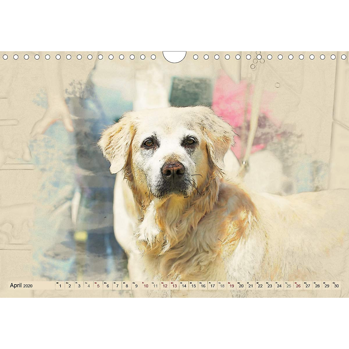 Golden Retriever 2020 (Wandkalender 2020 DIN A4 quer): Golden Retriever im kunstvollen Aquarell-Stil. Jedes Monatsmotiv gleicht einem kleinen Kunstwerk (Monatskalender, 14 Seiten )