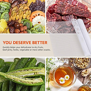 Sopito 6pcs Square Non Stick Silicone Dehydrator Sheets for Fruit Dryer Mesh