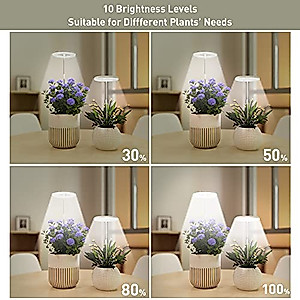 eWonLife Grow Lights for Indoor Plants, Plant Lamp Full Spectrum for Growing, 2 Pack, Height Adjustable with 3/9/12H Auto Timer, 3 Spectrum Modes with 72 LEDs