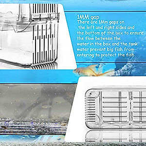Fortune-star Fish Breeding Box Aquarium Fish Tank Hatchery Incubator Breeder Box Fish Breeding Tanks Acrylic White Breeder Isolation Divider Hatching Boxes with Suction Cups