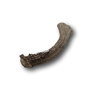 Top Dog Chews Large 6"-9" Long -Antler Dog Chew From Single Antler