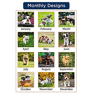 2024 AT-A-GLANCE® Puppies Monthly Wall Calendar, 15-1/2" x 22-3/4", January to December 2024, DMW16728