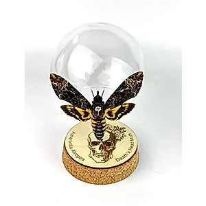Real Death Head Moth Acherontia in Globe Dome Butterfly Hawkmoth Skull Moth Insect Unique Taxidermy Taxadermy Collectables Tabletop Wall Art Decoration Home Decor Living Reading Room DOME-05-01