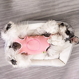 Dog Warm Coat, Polar Fleece Dog Pajamas Bodysuit for Small Medium Dogs Cats Walking Hiking Travel Sleeping, Cold Weather Puppy Vest Clothing, Stand Collar Thermal Doggie Winter Onesie Clothes