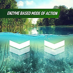 4X Pond Cleaner - Reduces Muck & Sludge for a Clean, Natural Look - Super Concentrated Lake and Water Feature Enzymes Treats Up to 1 Acre, Pair with Dye - Safe for Fish and Wildlife (32 oz)