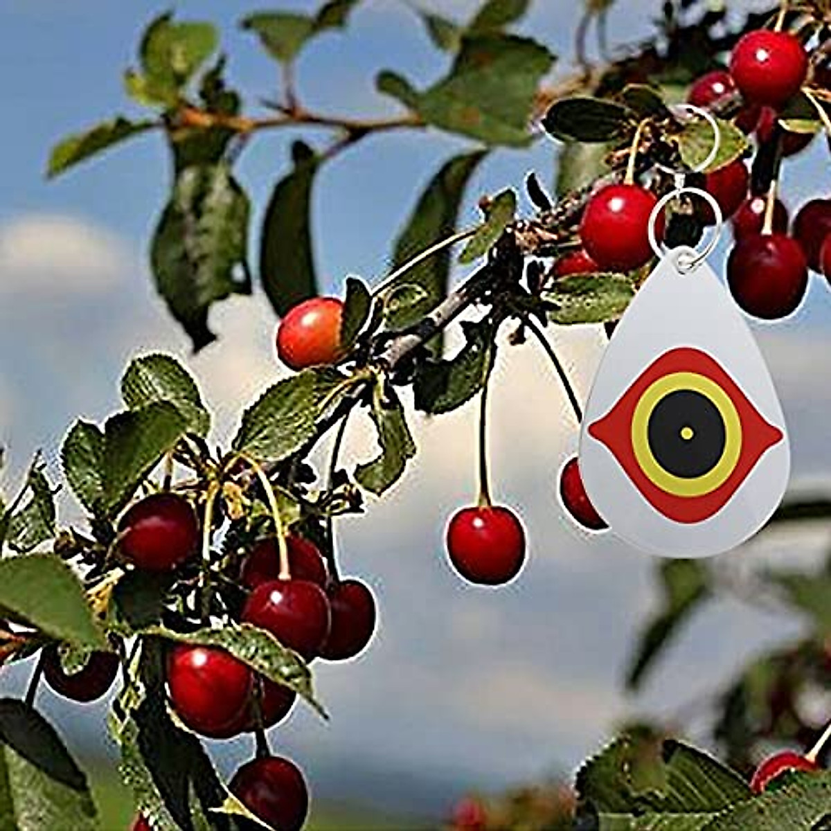 Bird Scare Device, Hanging Reflector Board to Scare Bird Away, Reflective Owl Scarecrow Keep Bird Away from Garden, Patio, Windows, Balcony, Orchard