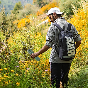 XTYHTX 17oz Stainless Steel Insulated Coffee Bottle,Vacuum-Insulated Beverage Bottle with Handle, Leak-Proof for Coffee, Tea, Water, Hot or Cold, (Green)