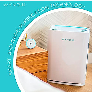 Wynd Max Home Air Purifier - App and Alexa Enabled, Smart Purification - HEPA Filter - Ideal for Home, Office, Large Spaces - 1200 sqft…