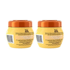 Garnier Whole Blends Honey Treasures Repairing Mask, for Dry, Damaged Hair, 10.1 Fl Oz, 2 Count (Packaging May Vary)