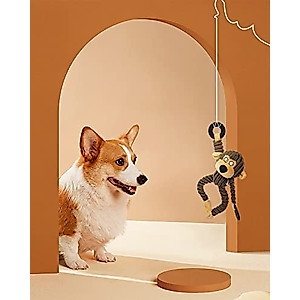 HGB Squeaky Puppy Toys, Plush Puppy Chew Toys for Teething, Dog Toys for Small Dogs, Small Dog Toys for Small Breed, Cute Monkey Interactive Dog Toys for Pet Training and Entertaining