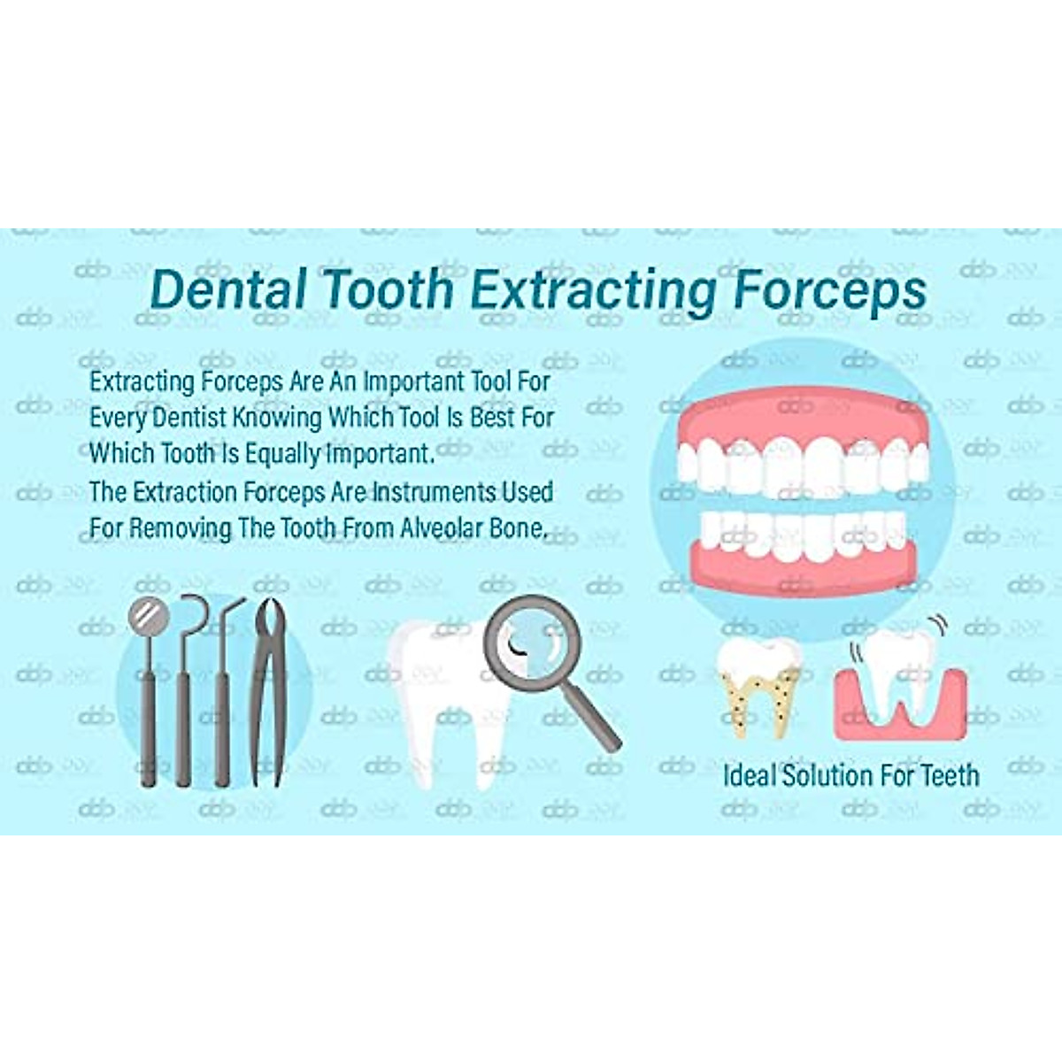 DDP Dental Tooth Extraction Forcep 106 Dentist Lab Tools Stainless Steel