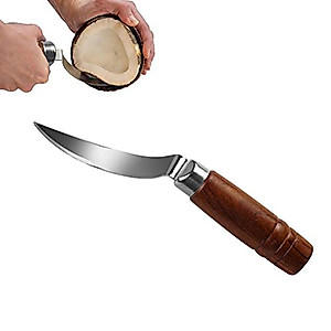 JTLB Coconut Opener Knife Stainless Steel Fruit Extractor for Home Kitchen (Assorted Color)
