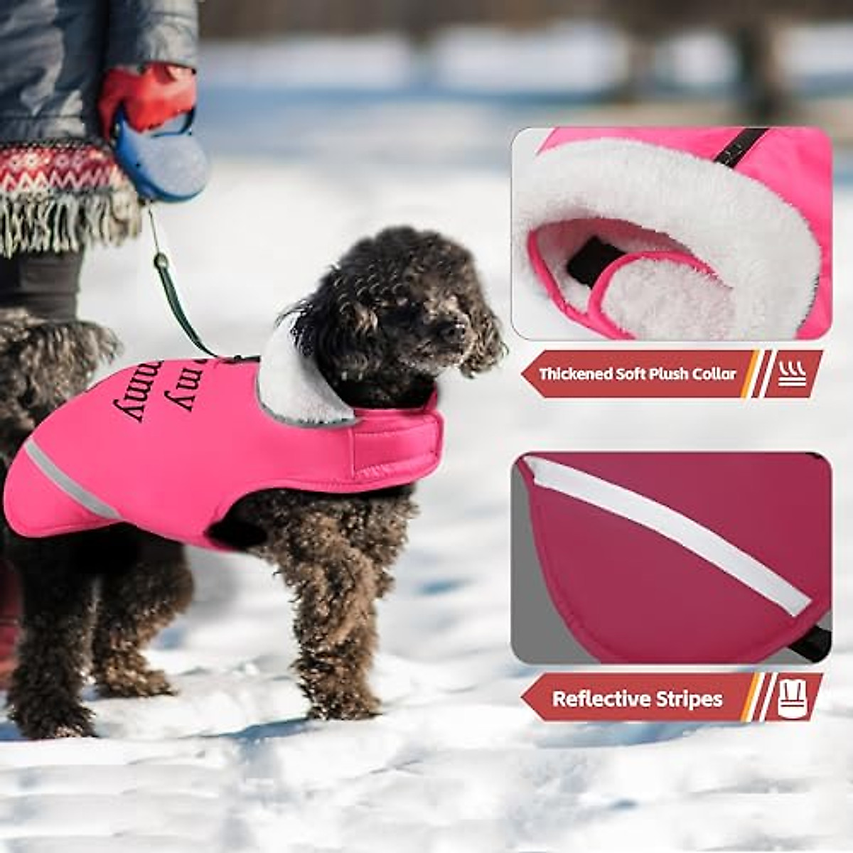 Doglay Cute Dog Coat, Warm Dog Winter Jacket Reflective Waterproof Dog Winter Coat with Thicken Fleece, Puppy Coat for Small Medium Large Dogs.