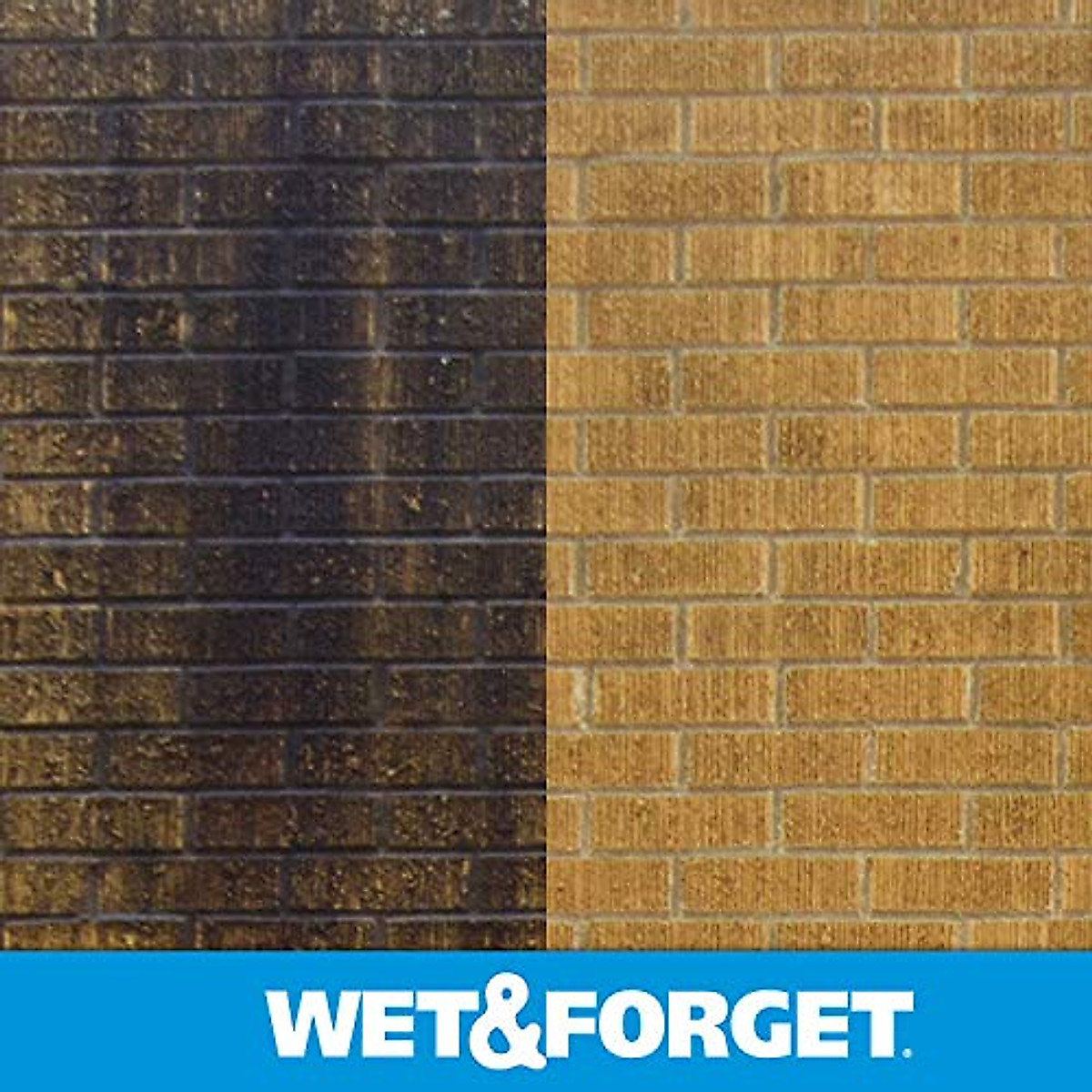 Set of 2 Wet and Forget Moss, Mildew and Algae Stain Remover