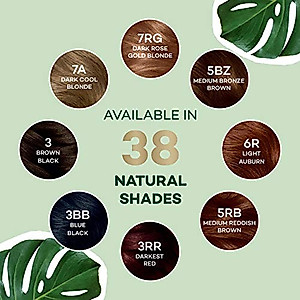 Clairol Natural Instincts Demi-Permanent Hair Dye, 5BZ Medium Bronze Brown Hair Color, Pack of 2