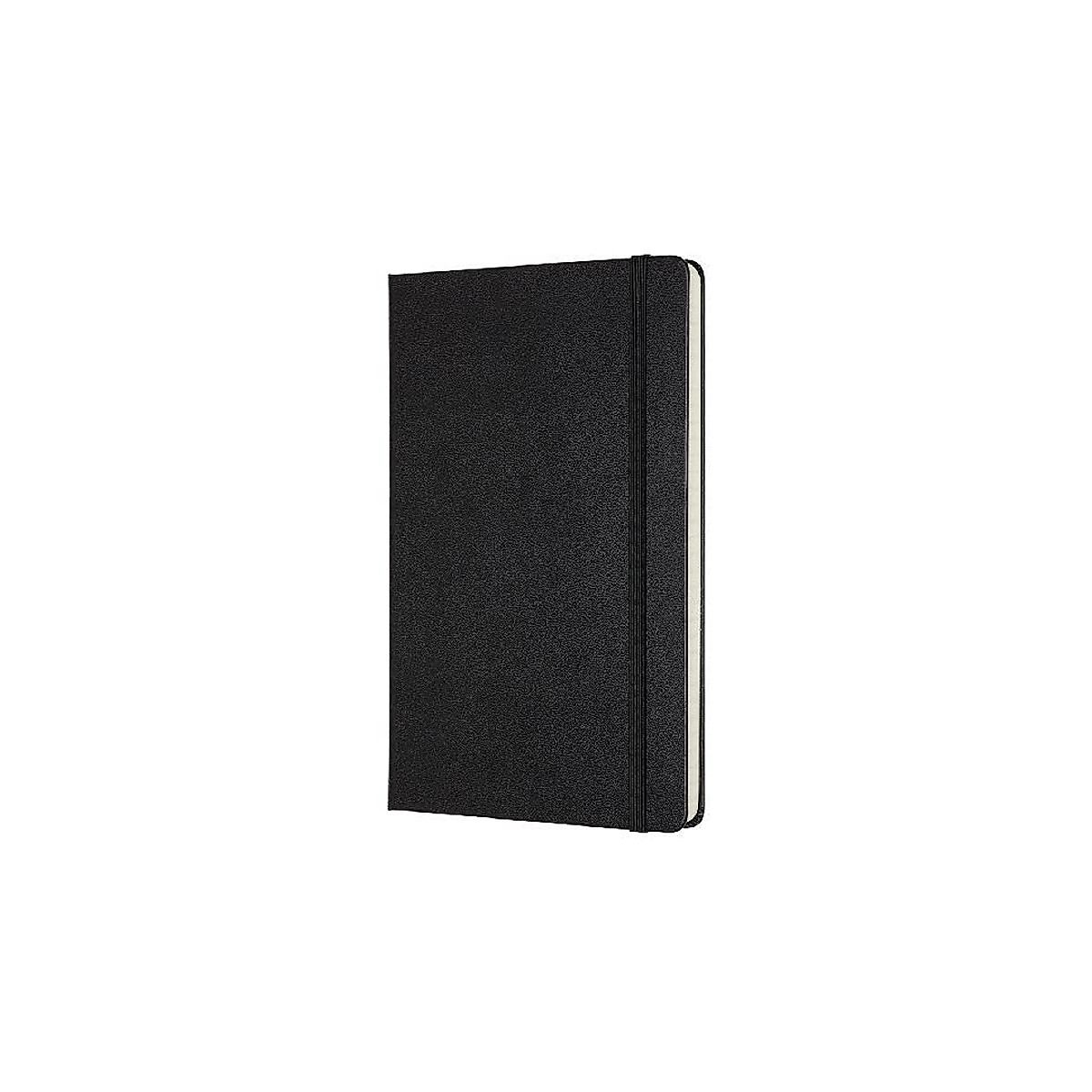 Moleskine PRO Notebook, Hard Cover, Large (5" x 8.25") Professional Project Planning, Black, 240 Pages