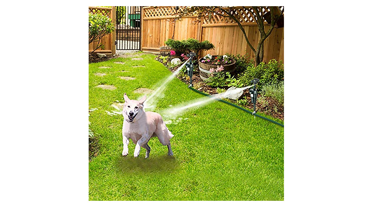 Humane Motion Activated Sprinkler for Animal Deterrent
