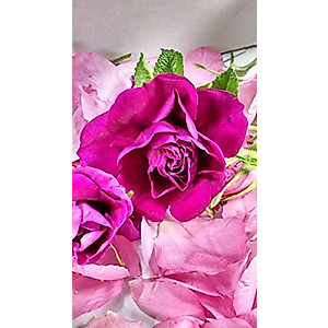 BEDROCK TREE FARM Rose Scent 12oz Status Jar Soy Candle, 1 EA