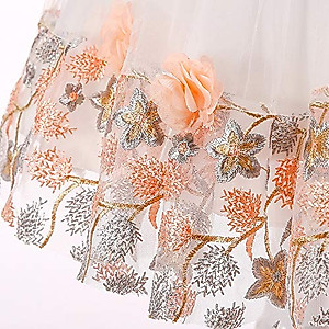 12 18 24 Months Formal Pageant Princess Easter Dresses for Girls Embroidery Sleeveless 2T Little Girl Elegant Spring Prom Lace Dresses 24M Orange