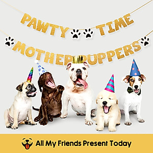 Pre-Strung Let's Pawty Dog Birthday Party Supplies, Pawty Time Mother Puppers,Funny Gold Glitter Puppy Dog Birthday Banner For Party Decorations Girl Boy, Cute Puppy Pets Paw Pennant Sign Deco