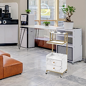 BarberPub Salon Trolley with Wheels Rolling Barber Cart with Drawers Marbled Board for Beauty Salon Metal Frame with 2 Hair Dryer Holders 2044 (White)