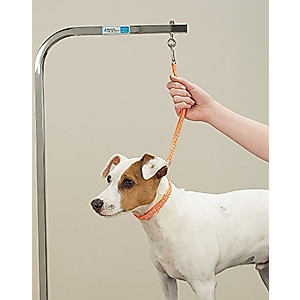 Top Performance Basic Grooming Loops - Versatile Nylon Loops to Secure Dogs on Tabletops While Grooming - 18", 4-Pack