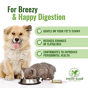 Intesto Guard Probiotics Paste 60ML/60cc Tube for Dogs & Cats Helps with Dog Diarrhea, Immune Supplements, with IgY antibodies & Made in USA